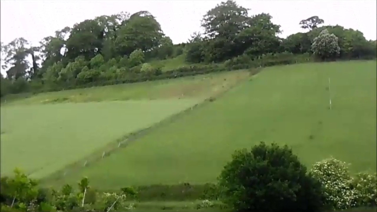 Legend of ~ St. Blaise~ Haccombe House & Haccombe ,Newton Abbot Devon ...