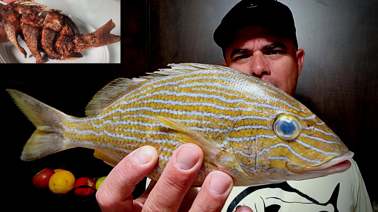 LOS RONCOS (GRUNTS) SERAN BUENOS DE COMER? COMO COCINO LOS RONCOS ...