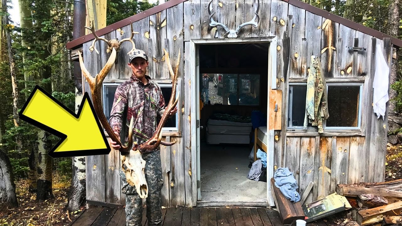 Old Man Visits Abandoned Shack Daily, You Won't Believe What They Found ...