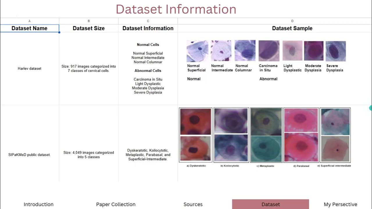 Cervical Cancer Classification Project Update - YouTube
