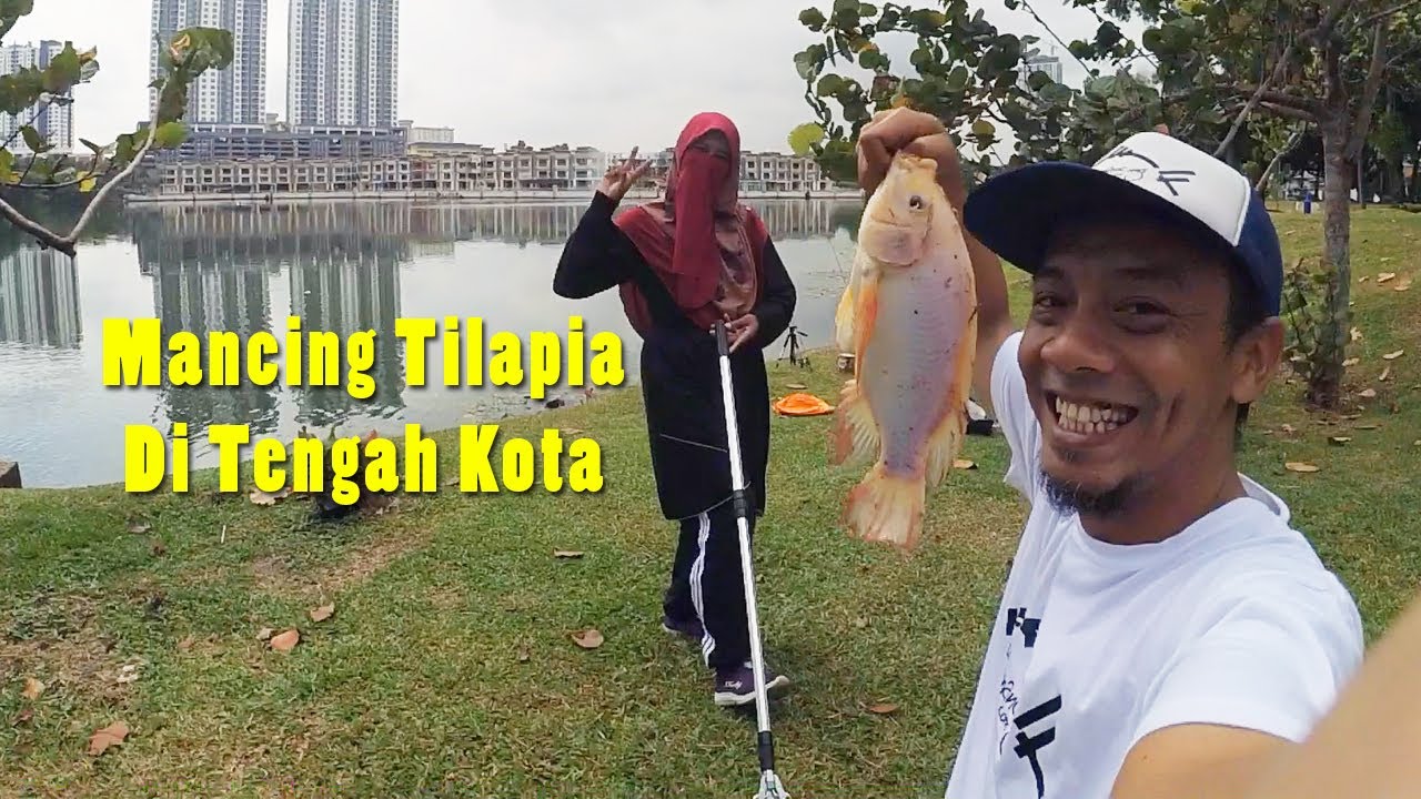 Mancing Tilapia di Taman Tasik Komuniti - YouTube
