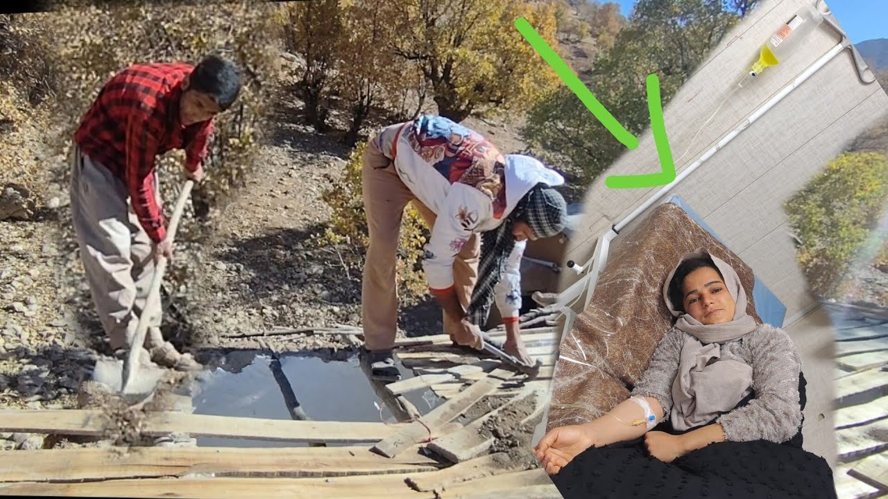 Operator support: The operator's efforts to improve Hajar's condition ...