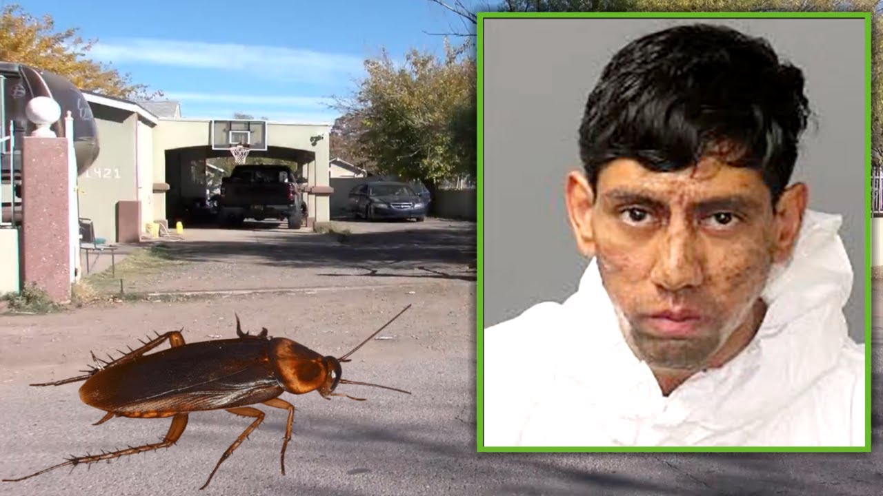 New Mexico Man Kills His Friends After A CockRoach Told Him To - YouTube