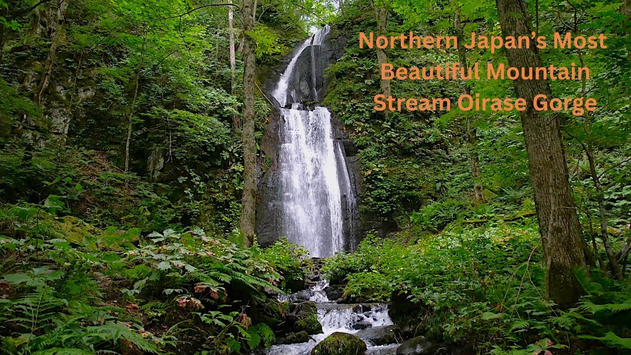 Northern Japan's Most Beautiful Mountain Stream | Oirase Gorge | A true ...