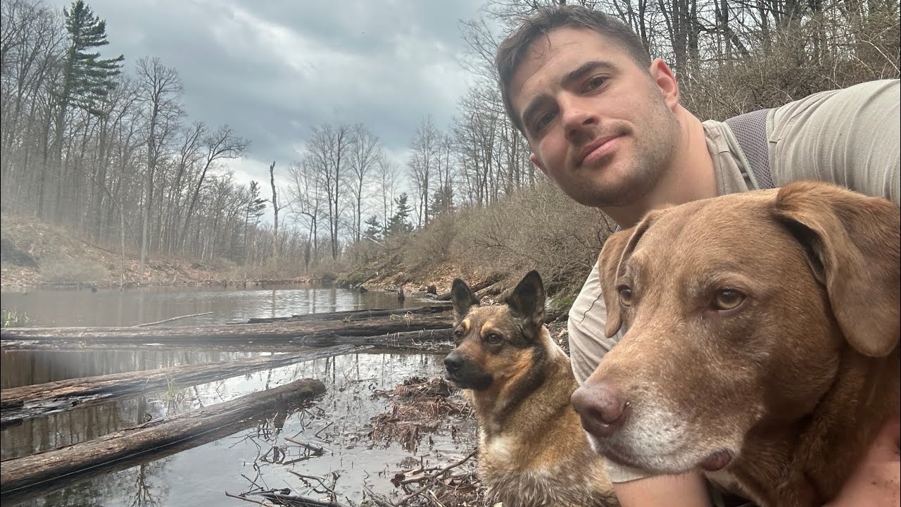 Catching Spotted Salamanders, Newts, Spring Peepers, Red-backed ...