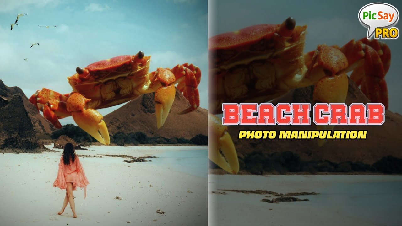 Beach Crabs Photo Manipulation | Picsay Pro Tutorial - YouTube