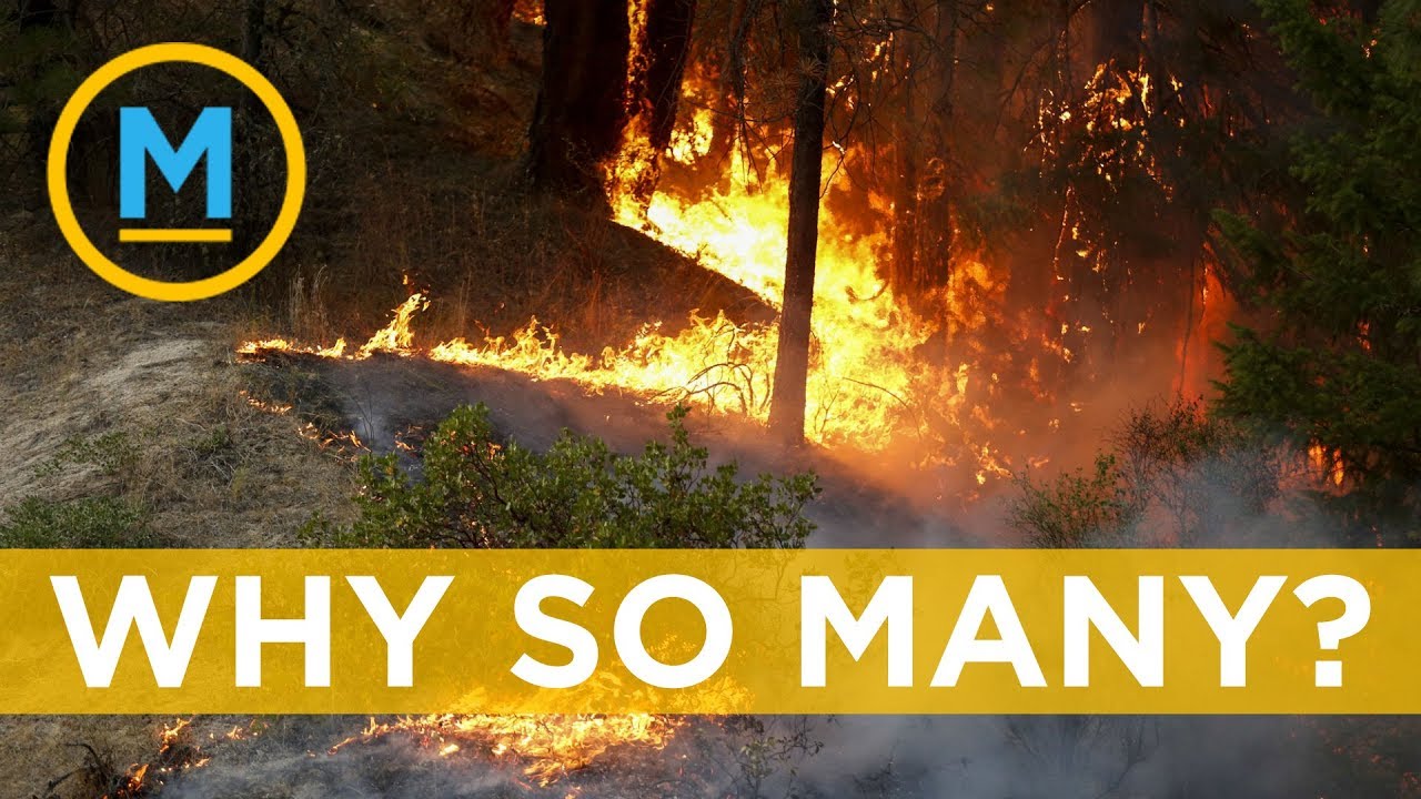 Why are wildfires getting so out of control? | Your Morning - YouTube