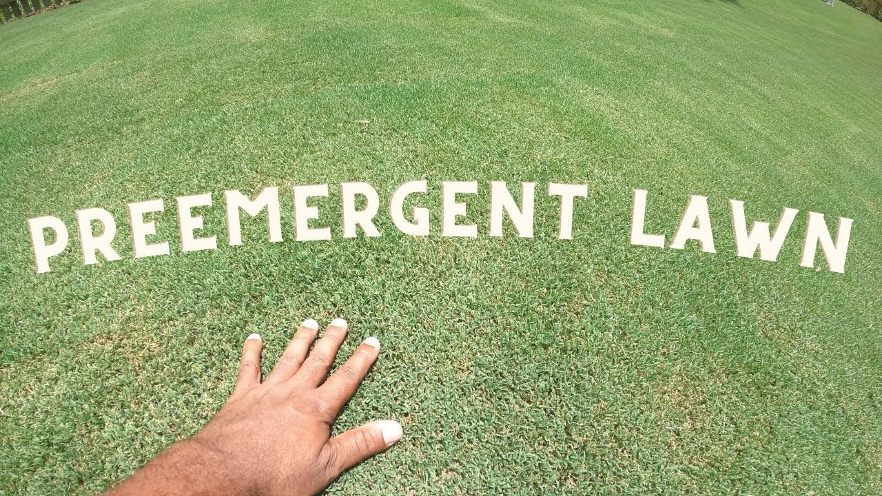 Preemergent weed control is the best way - YouTube
