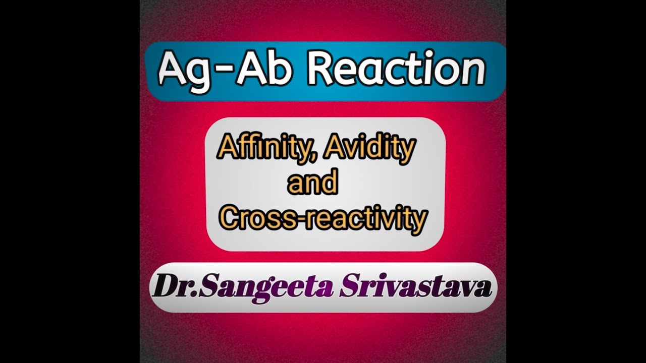 Immunology L14 : Ag-Ab Reaction : Affinity, Avidity and Cross ...