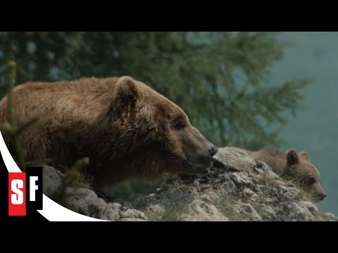 The Bear (7/7) Bear and Cub Hunt (1988) HD
