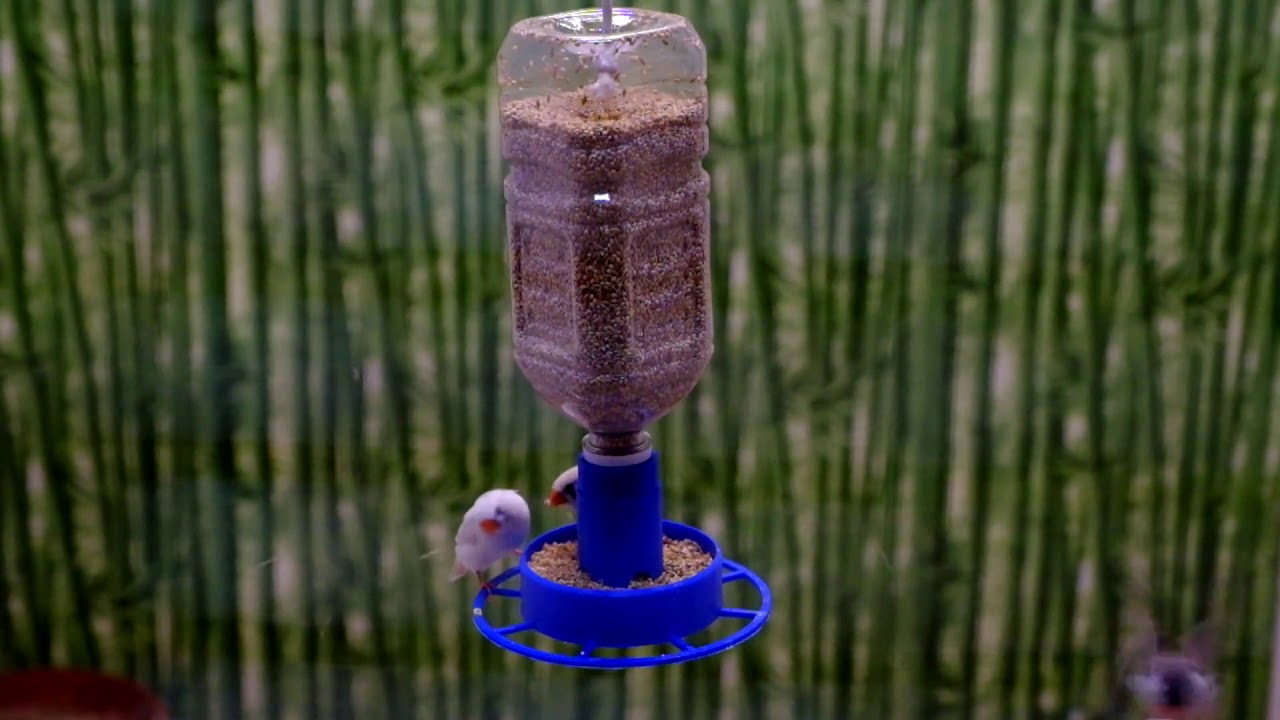 3D Printed Seed Dispenser - YouTube