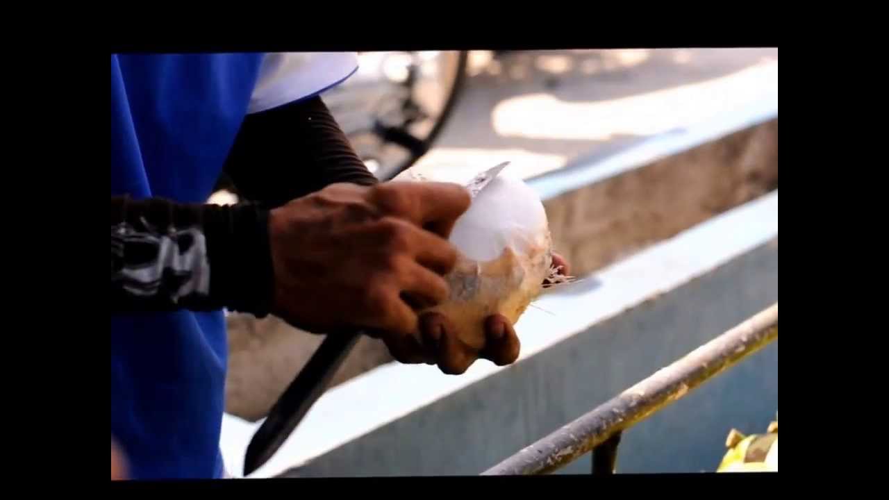 How the Filipinos peel their coconuts - YouTube