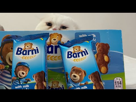 Barni Cake Chocolate & Milk With Saleh بارني كيك🍫