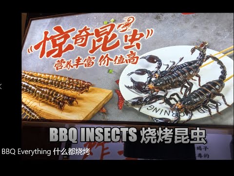 BBQ INSECTS BBQ Everything 烧烤昆虫 什么都烧烤 - YouTube