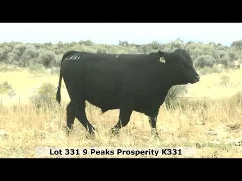 9 Peaks Prosperity K331 - YouTube