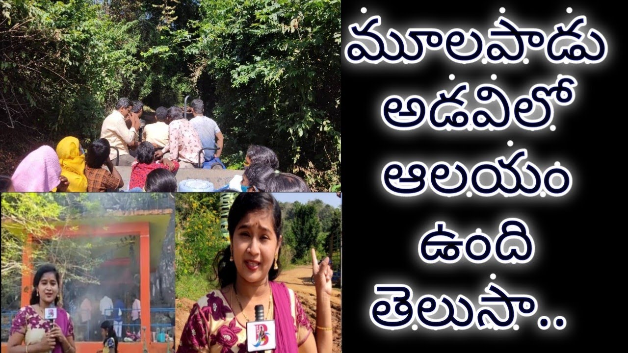 Mulapadu forest || Trekking || Bezawada sumakka || swapna || 4k. - YouTube