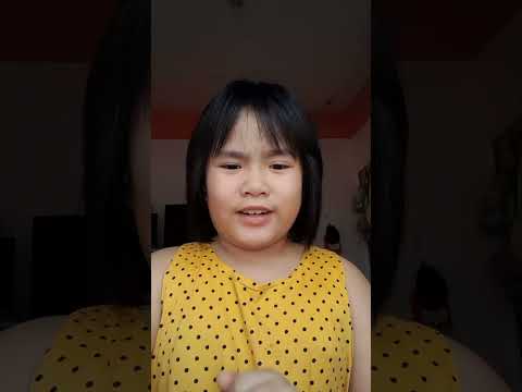 The airplane got cruhes