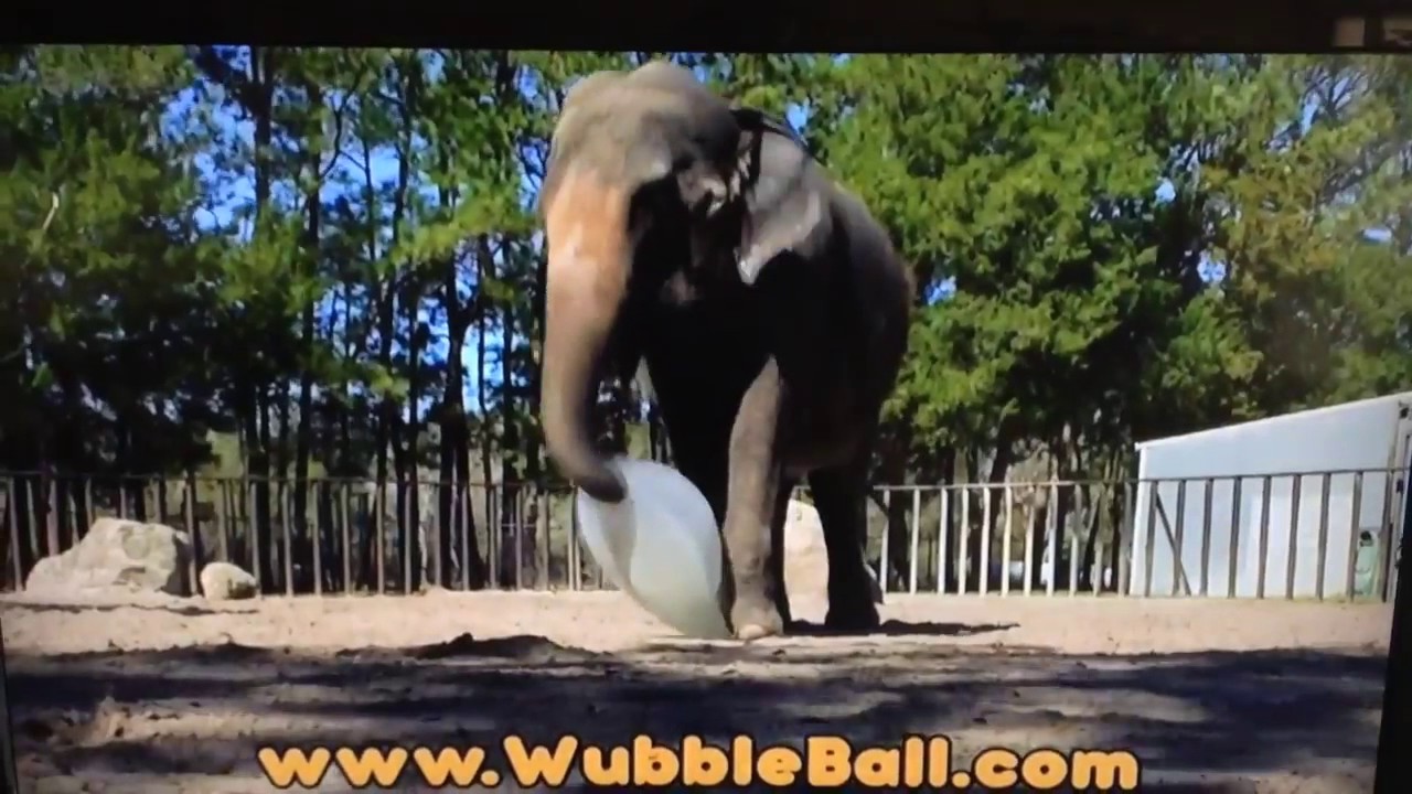 Super wubble bubble ball commercial - YouTube