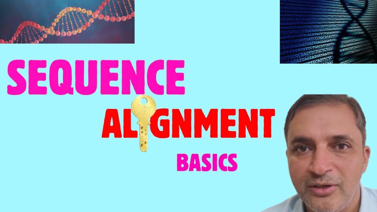 Sequence Alignment Made Easy | Bioinformatics for Beginners - YouTube