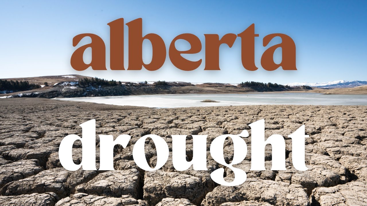 Alberta Drought - Has the Recent Snow Helped? - YouTube