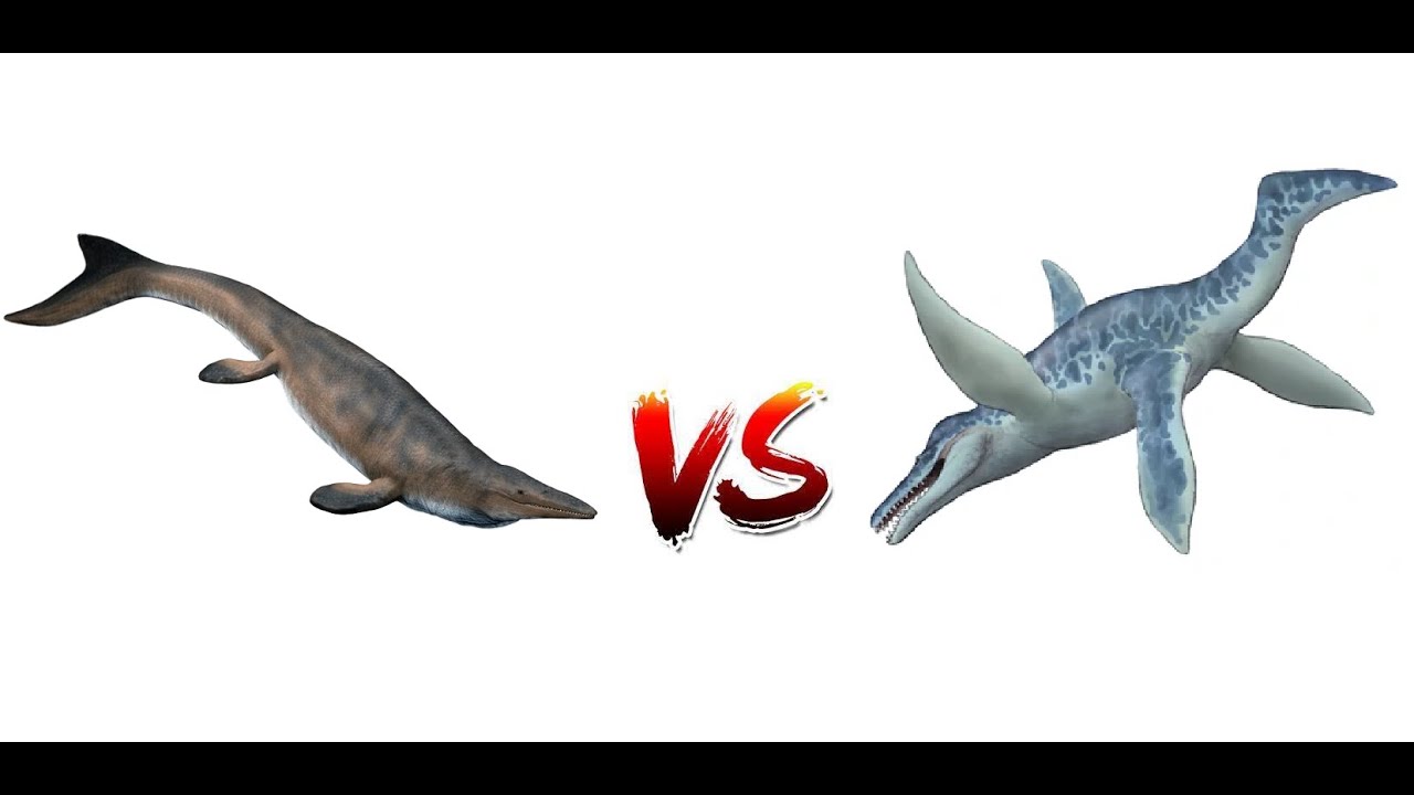 Mosasaurus Hoffmanni VS Pliosaurus Funkei discussion - YouTube