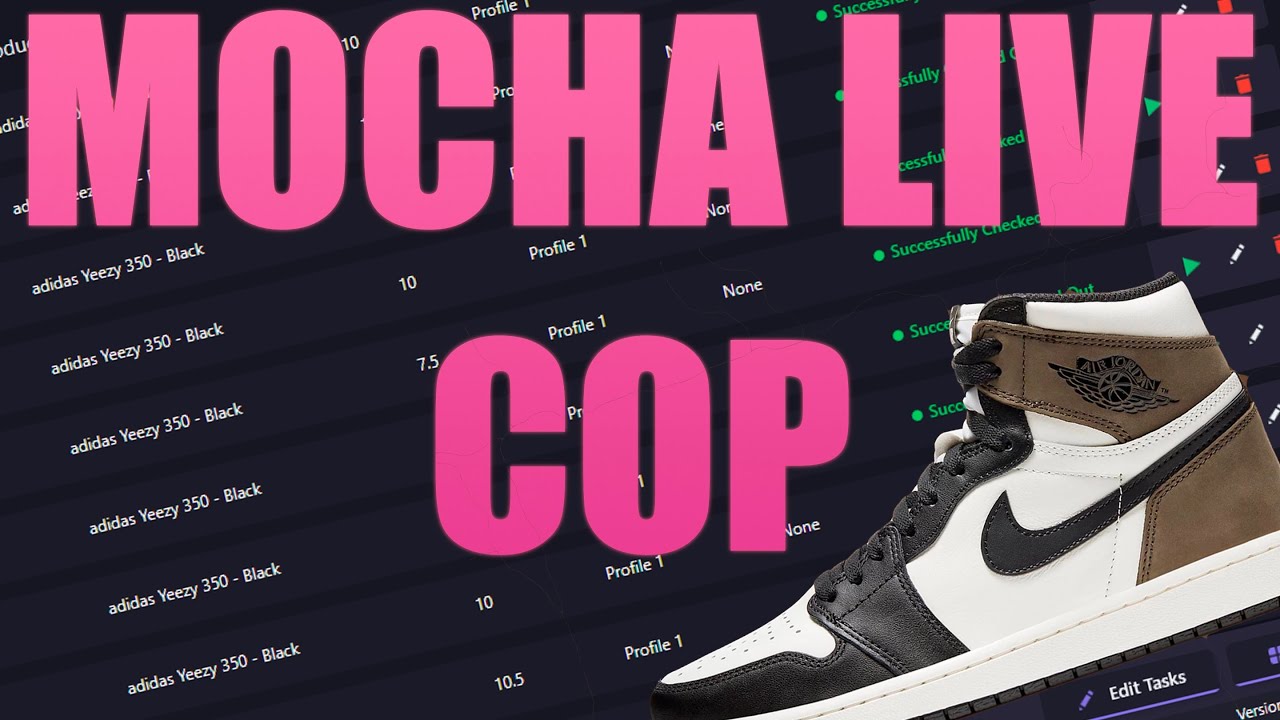 Air Jordan 1 Mocha Live Cop Compilation! (Project Destroyer, Sole AIO ...