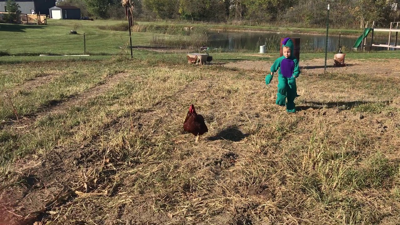 Predator on the loose. - YouTube