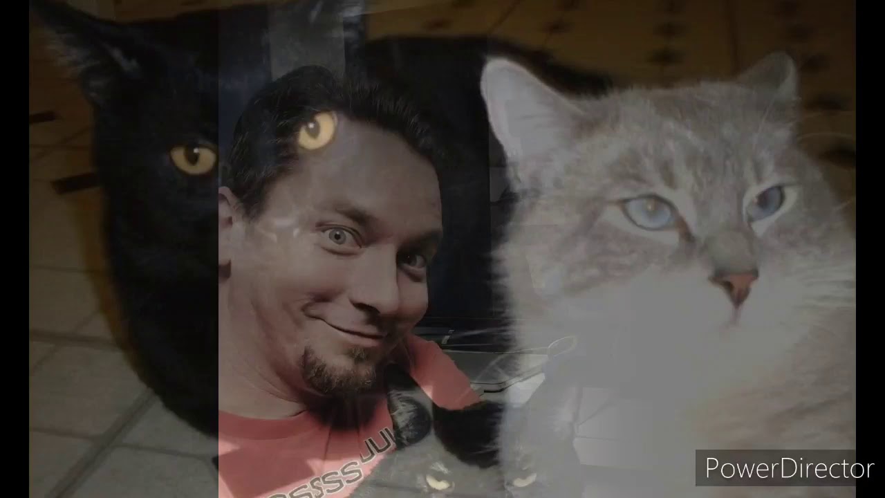 RIP Steve Gibson Sylvester Cash - YouTube