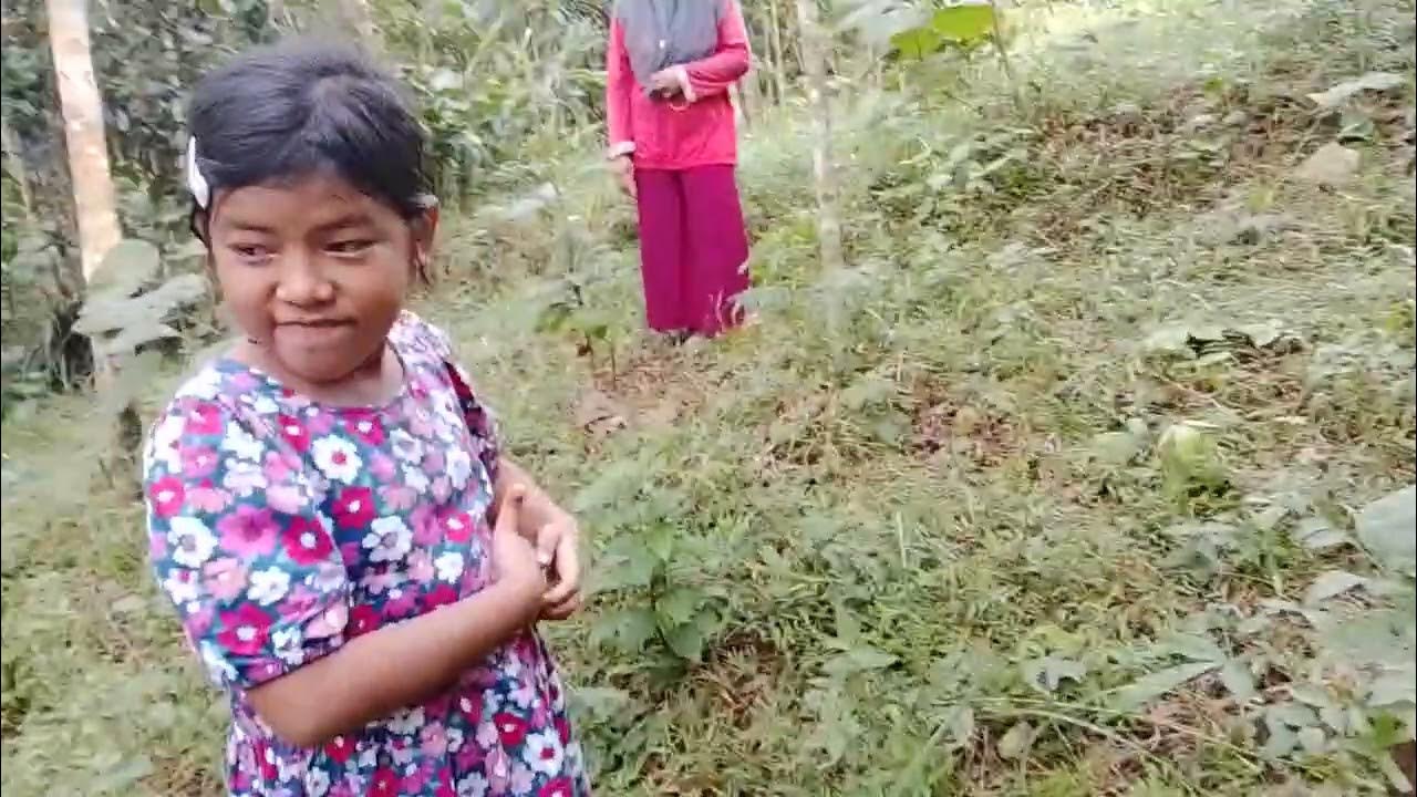 Jalan2 ke hutan yang mengerikan😱😱 - YouTube