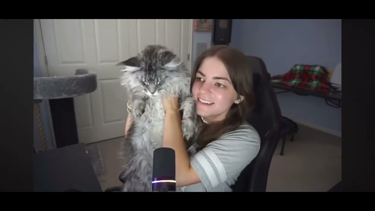 I Have Beef With My Cat (Shgurr Reupload) - YouTube