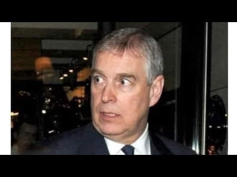 John Bindon could he have a fight Jimmy Tippett put it right on him ...