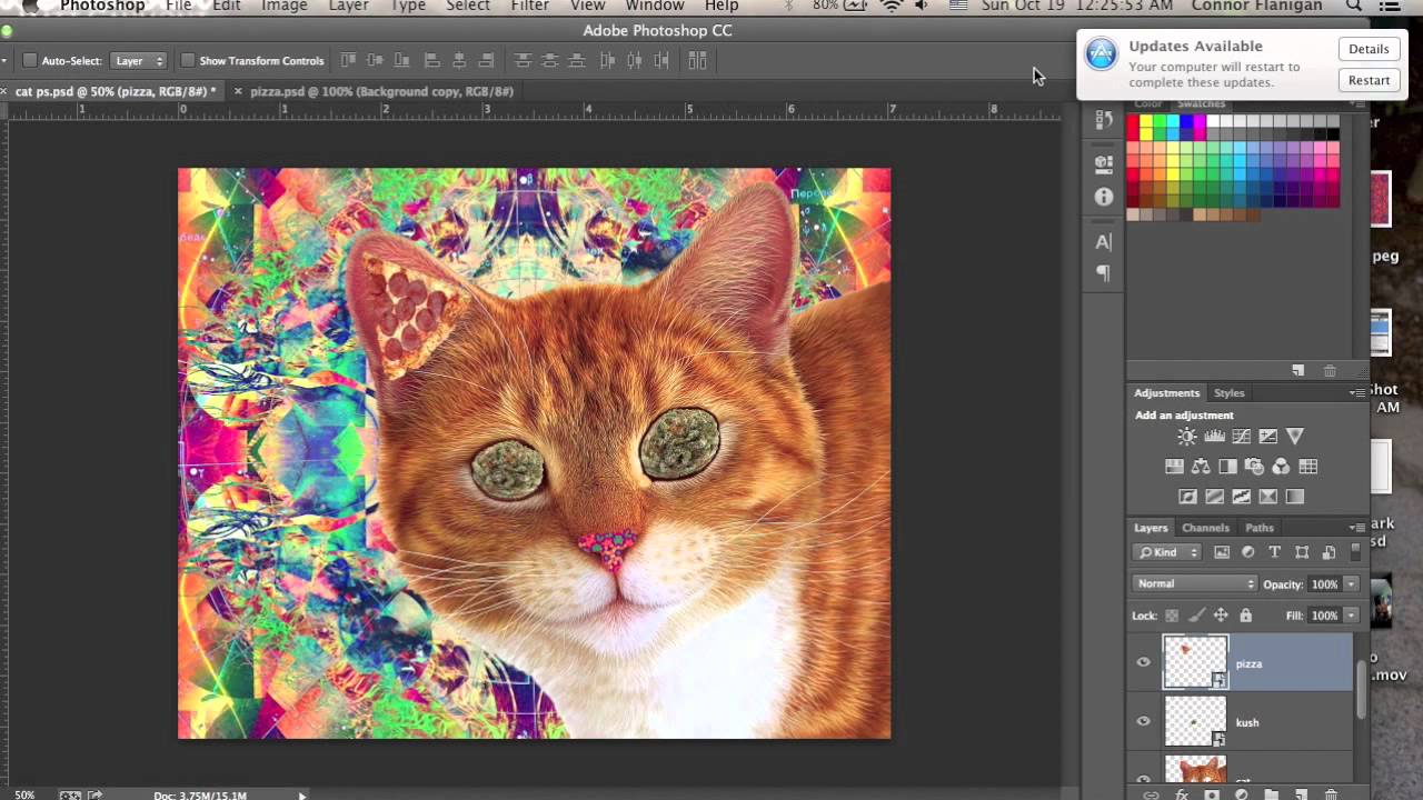 Trippy Cat Speed Art Youtube