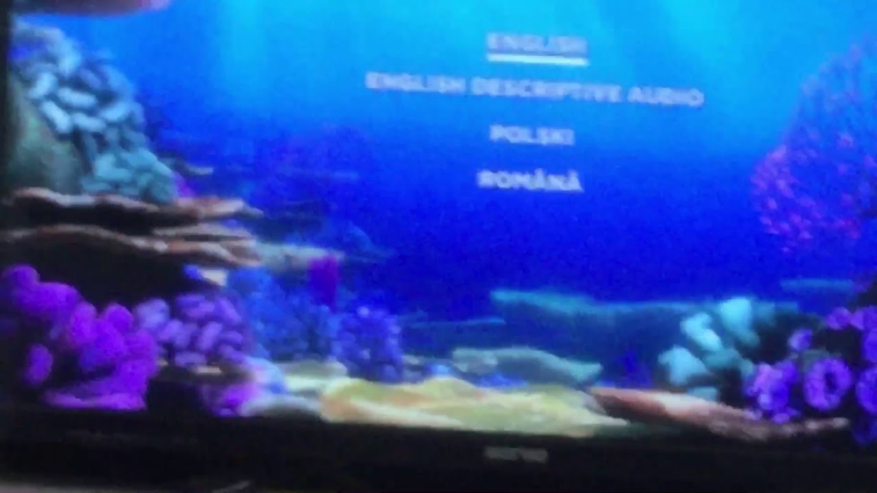 Opening To Finding Dory Dvd 2016 Australia Youtube
