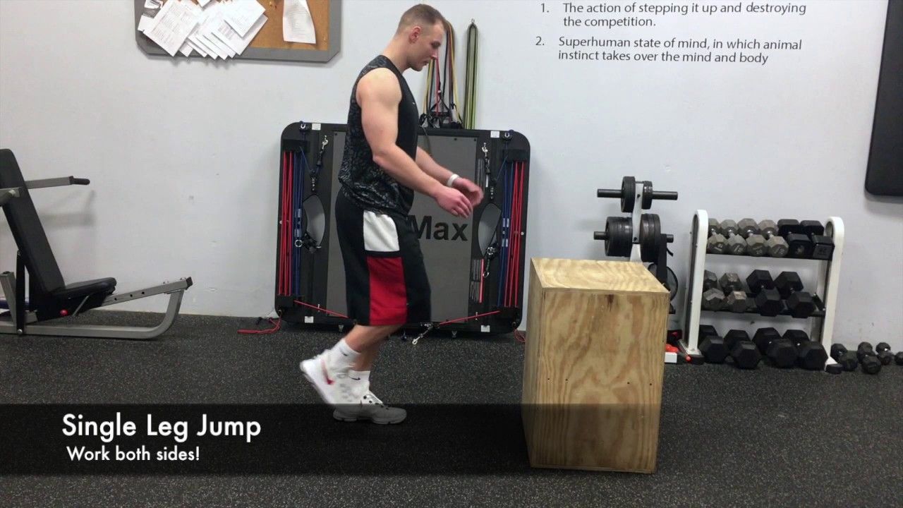 FREE VERTICAL JUMP TRAINING!!! Box Jump Workout - YouTube