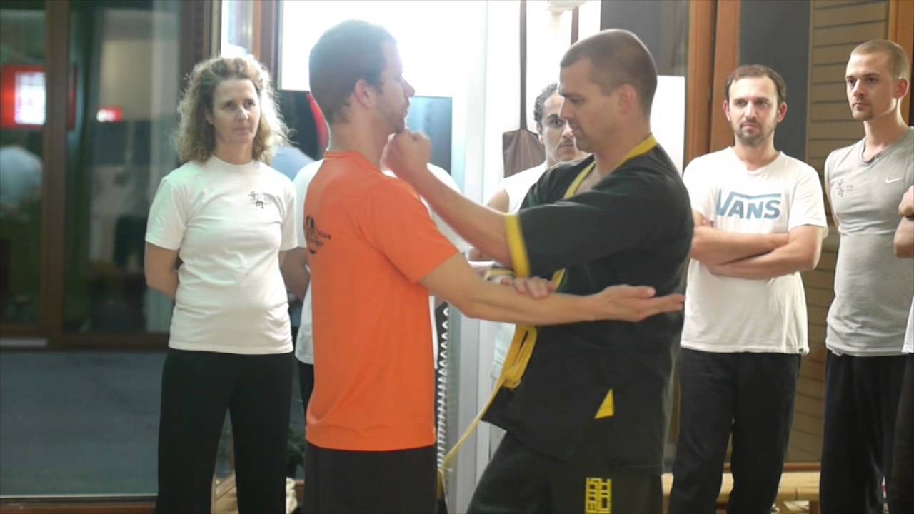 Wing Tsun Pak Sao Drill - YouTube