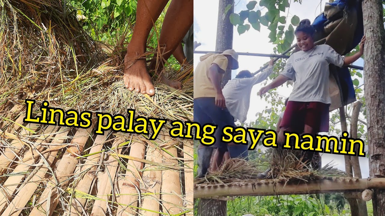 Paglinas Ng Palay | Di na kailangan Ng Tresher Machine - YouTube