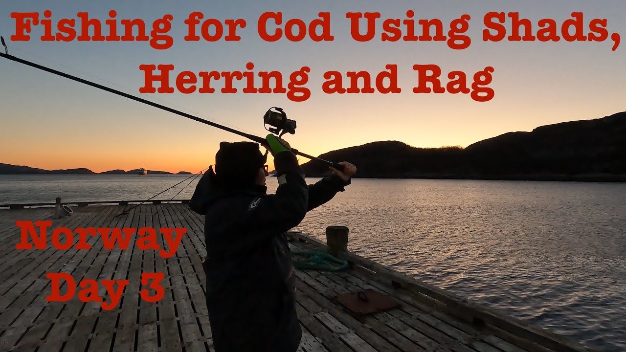 Fishing for Cod using Shads, Herring and Rag - YouTube