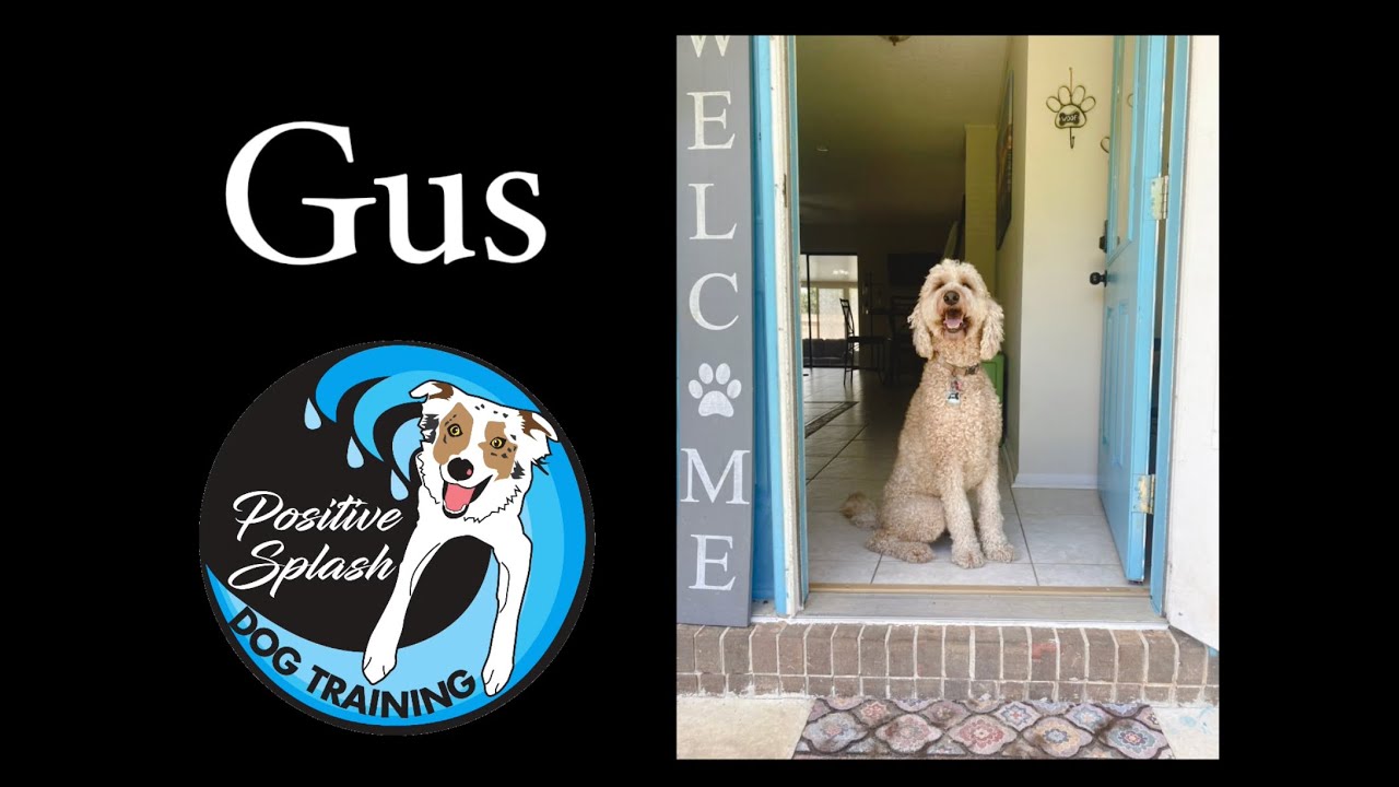 Gus - YouTube