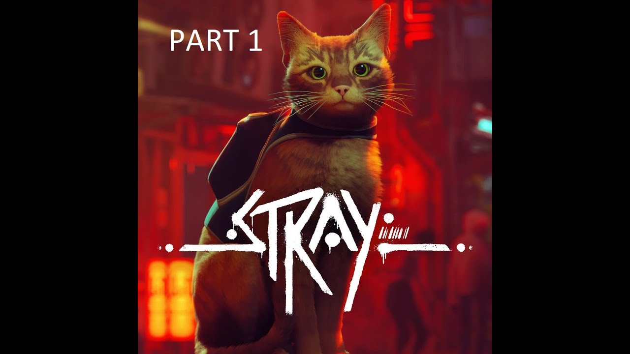 STRAY [PC] Walkthrough Gameplay Part 1 (FULL GAME) No Commentary - YouTube