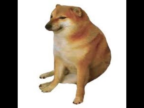 cheems gets a good sleep (short version) - YouTube