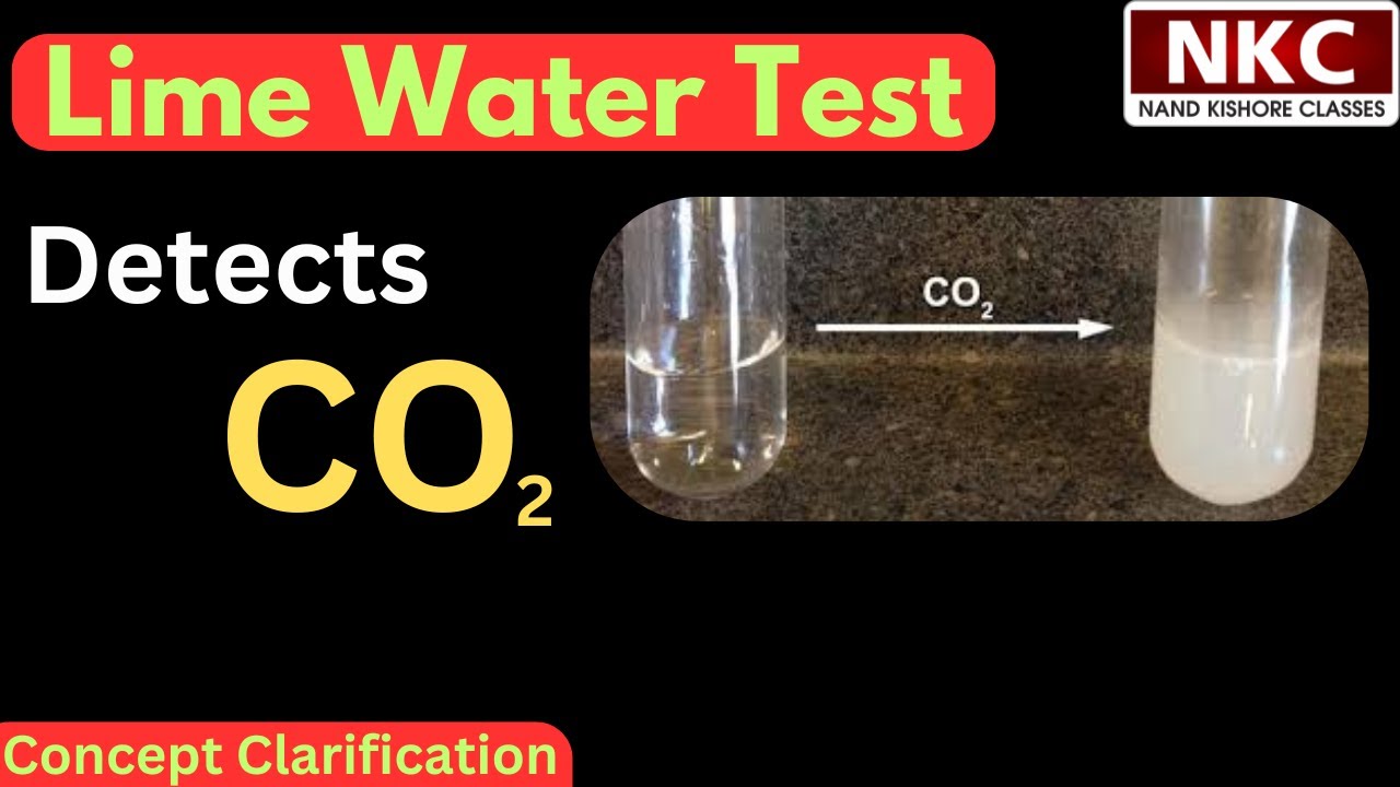CO₂ Lime Water Test Explained | Concept Clarification by Vivek Sir ...