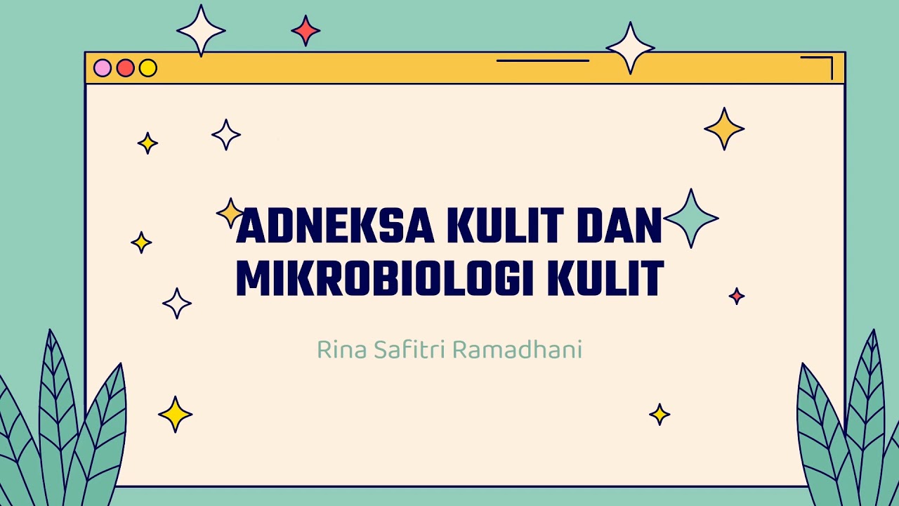 Adneksa Kulit Dan Mikrobiologi Kulit Youtube