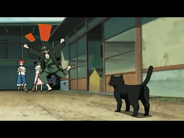 Gato Yoruichi Bleach Characters Kisuke Urahara As Hunter And Yoruichi