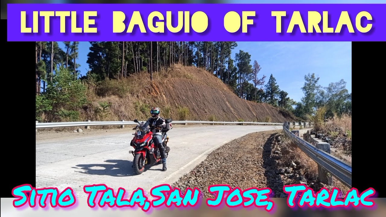 The Little Baguio of Tarlac.Sitio Tala,San Jose Tarlac - YouTube