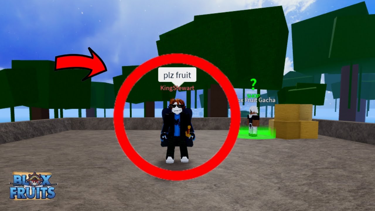 "pls fruit" beggers in Blox Fruits be like... - YouTube