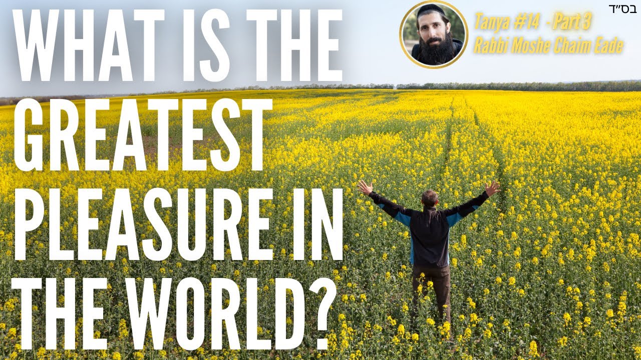 What is the GREATEST Pleasure in the World? - YouTube