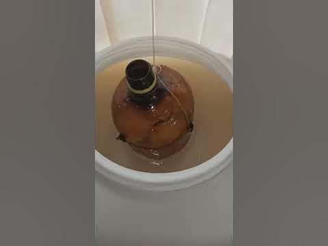 Гравицапа для сахарной браги - YouTube