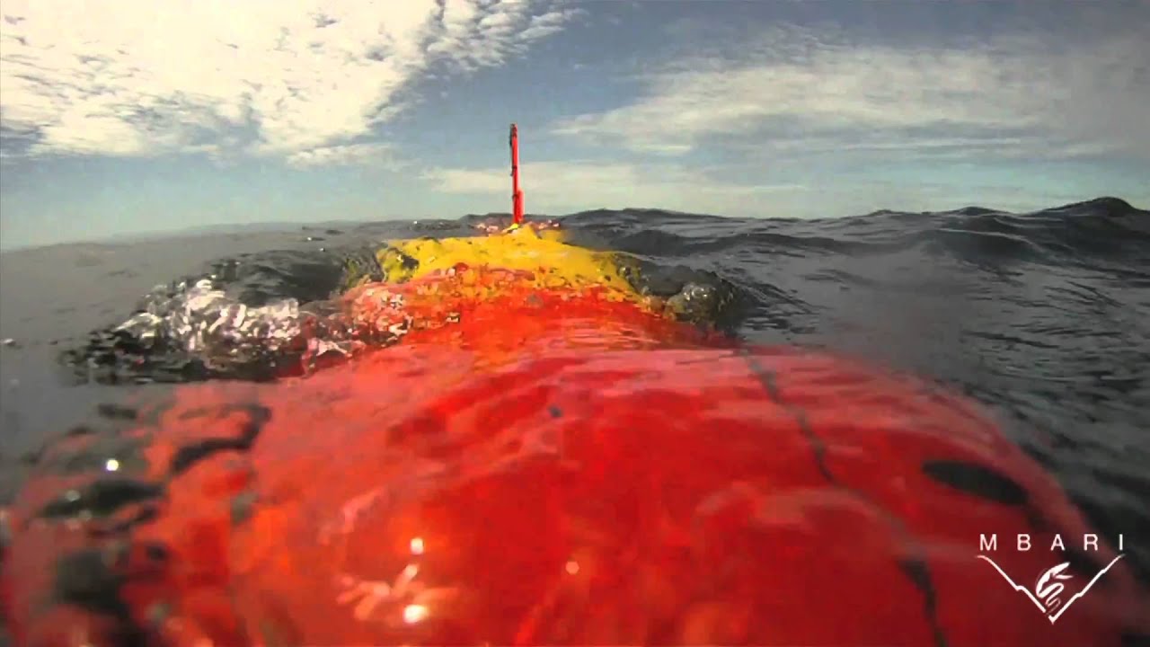 Tethys - A new breed of undersea robot - YouTube