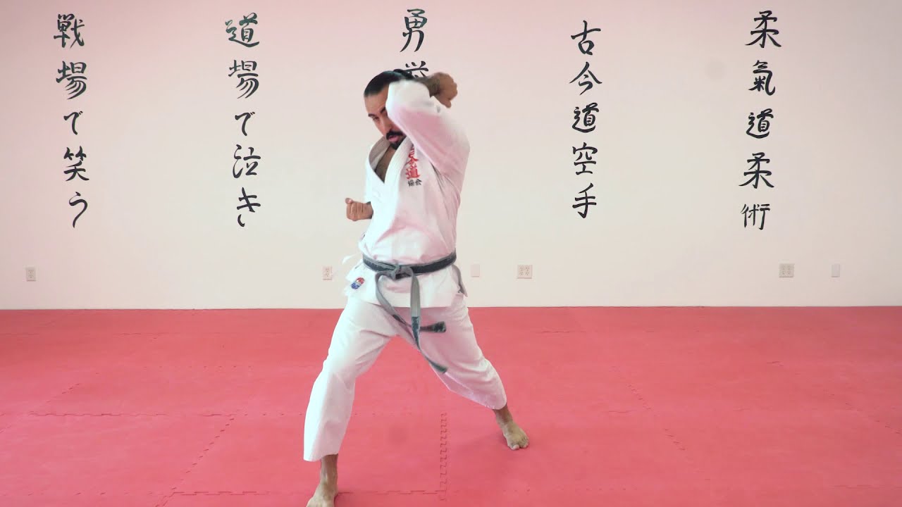Close Range Striking Class • Jukido Jujitsu & Kokondo Karate - YouTube