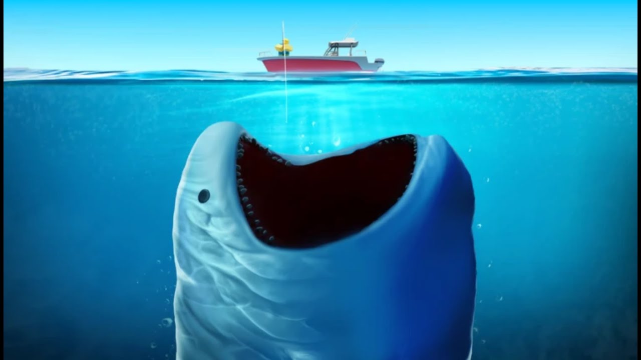 EL MAJA KU KAPAN NAIK TALON?? - Fish it #talonbaik - YouTube